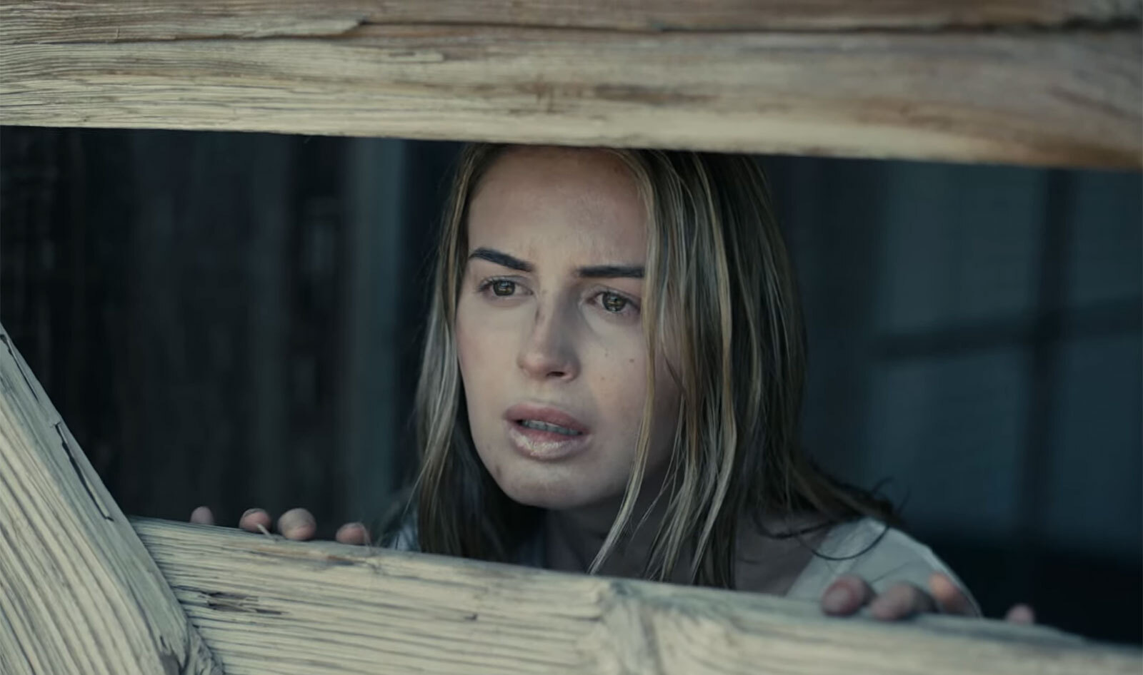 "The Next Girl", Curta-Metragem Premiada, Disponível no YouTube